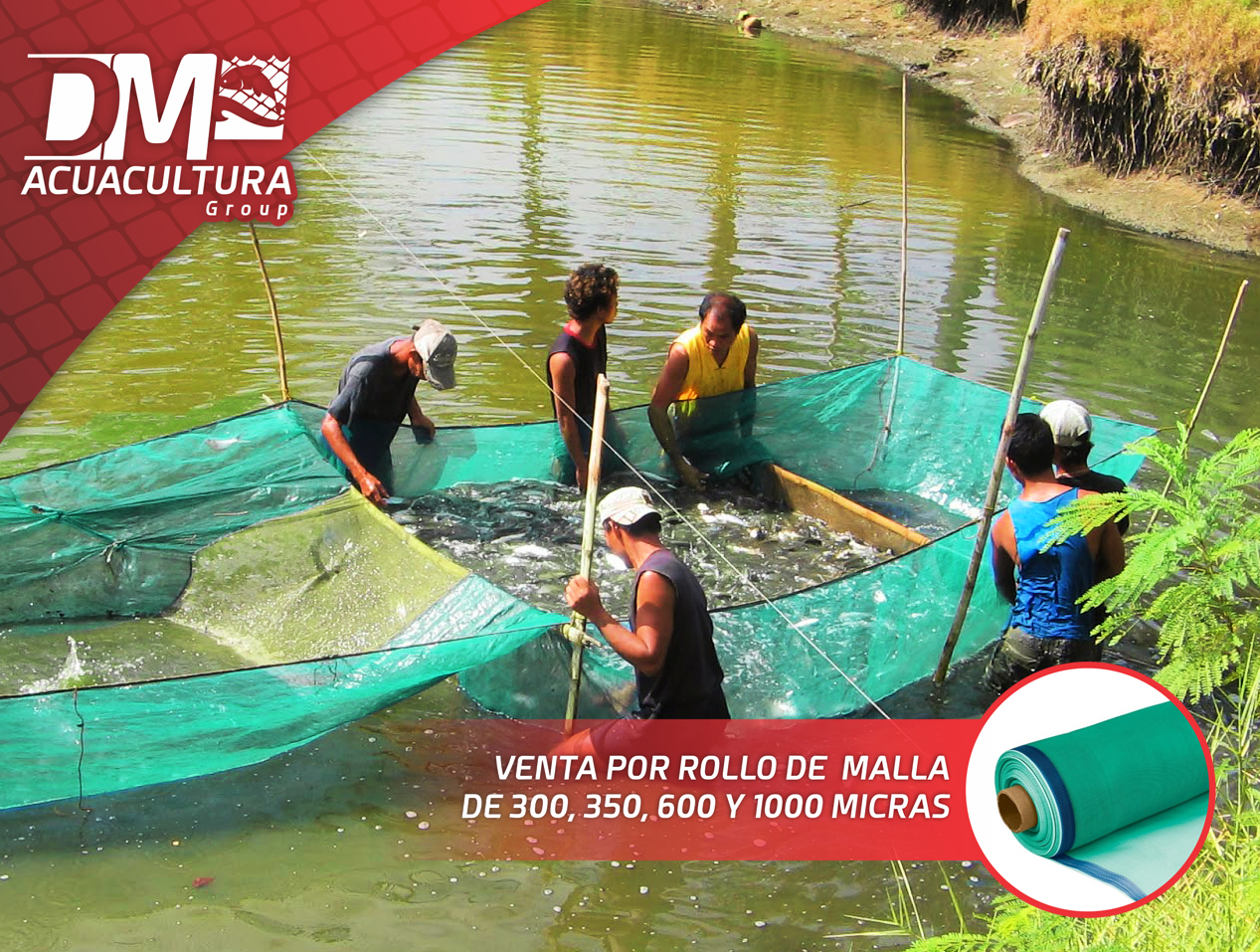 ¡Mallas para uso Acuícola, venta por rollo y confeccionadas! - DM ...
