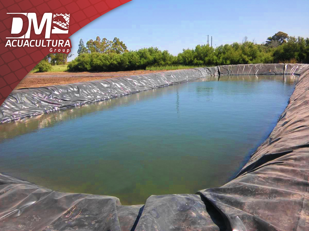 ¿Necesitas construir un estanque acuícola? ¡En DM Acuacultura contamos ...