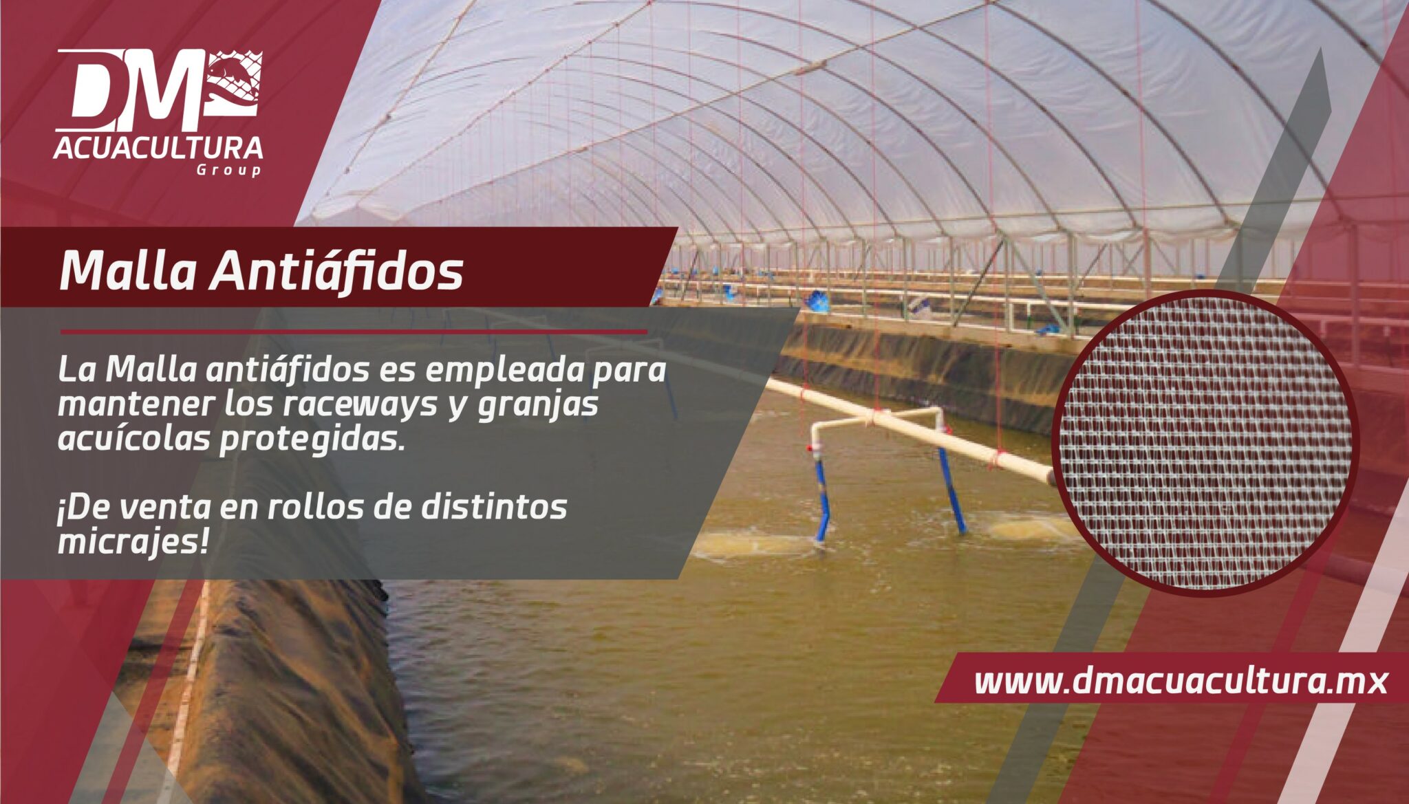 filtro con malla 500 micras Archivos - DM Acuacultura